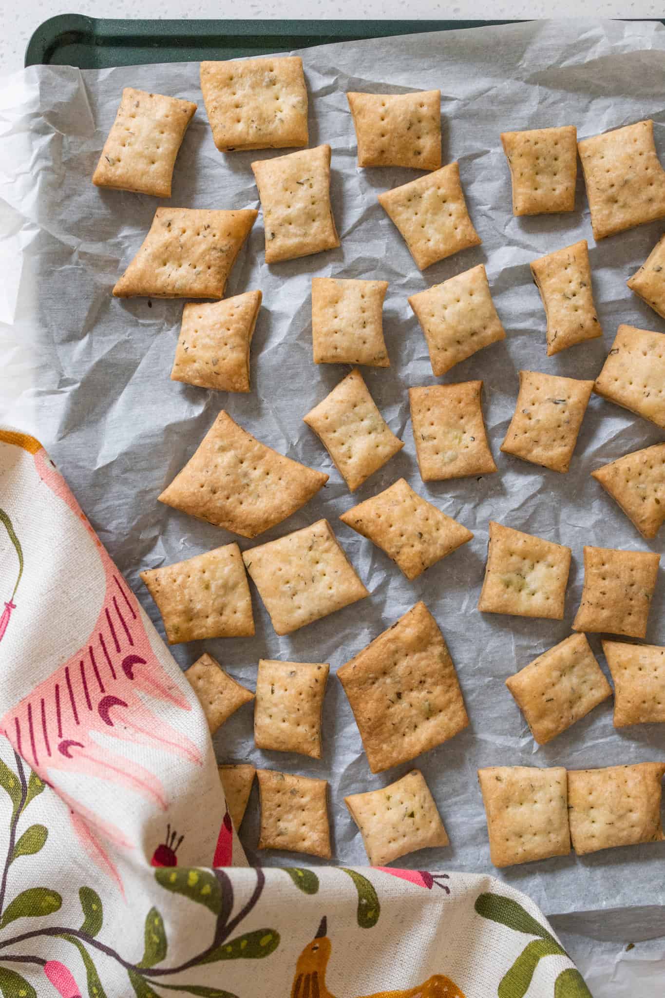 Sourdough Herb Crackers - sarahtherese.co